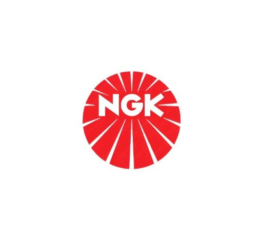 NGK Spark Plugs – Scorpion Motorsport